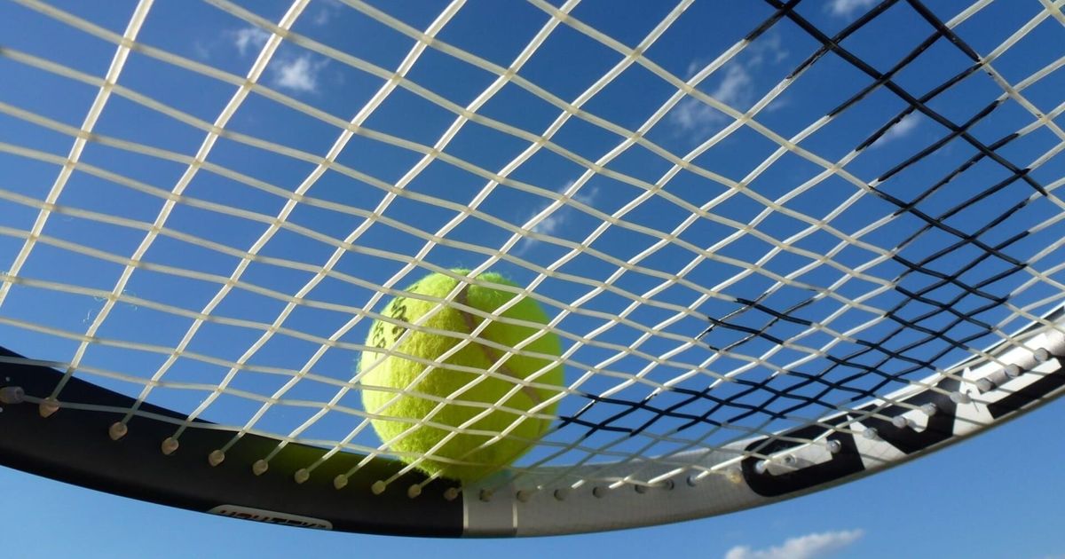 Tennis : ATP World Tour Streaming Tennis 1h00 | CANAL+