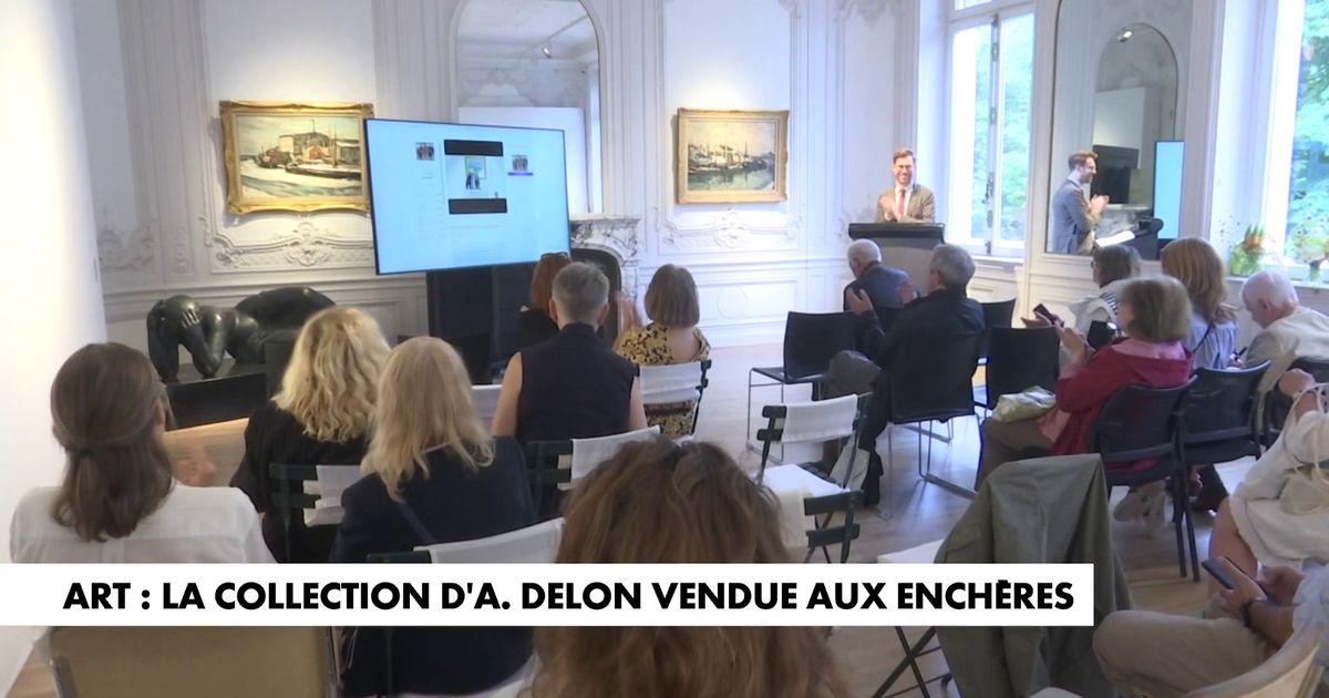 Art : La collection d'Alain Delon vendue aux enchères en streaming ...
