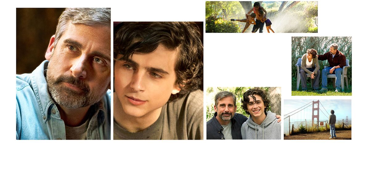 My Beautiful Boy Streaming Film Drame 2h00 2018 | CANAL+