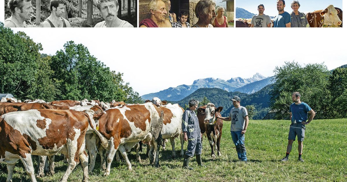 La Ferme des Bertrand Streaming Film Documentaire 1h22 2024 | CANAL+