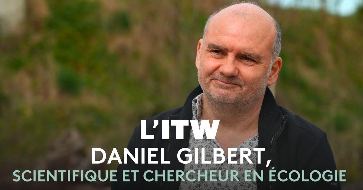 LITW de Daniel Gilbert en streaming direct et replay sur CANAL+ | CANAL+