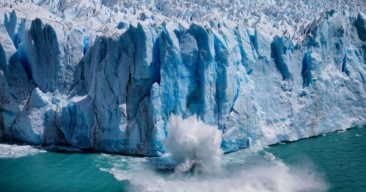 Épisodes Face aux forces de la Nature - Doc. Nature | CANAL+