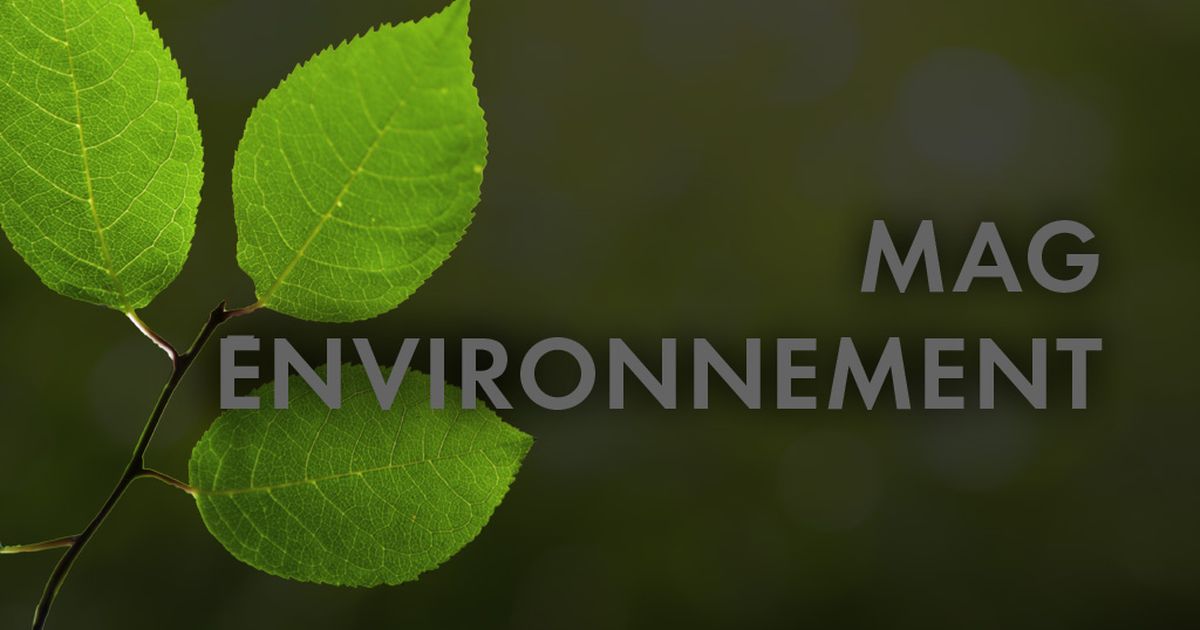 Eco Africa Streaming Mag. Environnement 30 min | myCANAL Madagascar