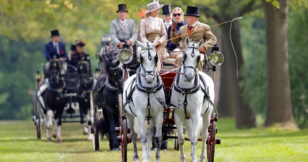 Royal Windsor Horse show 2025 Streaming Serial 1 godz, 03 min | CANAL+