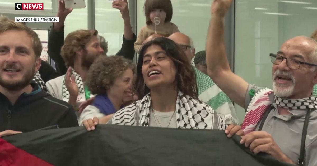 Rima Hassan sera jugée pour apologie du terrorisme en streaming direct ...