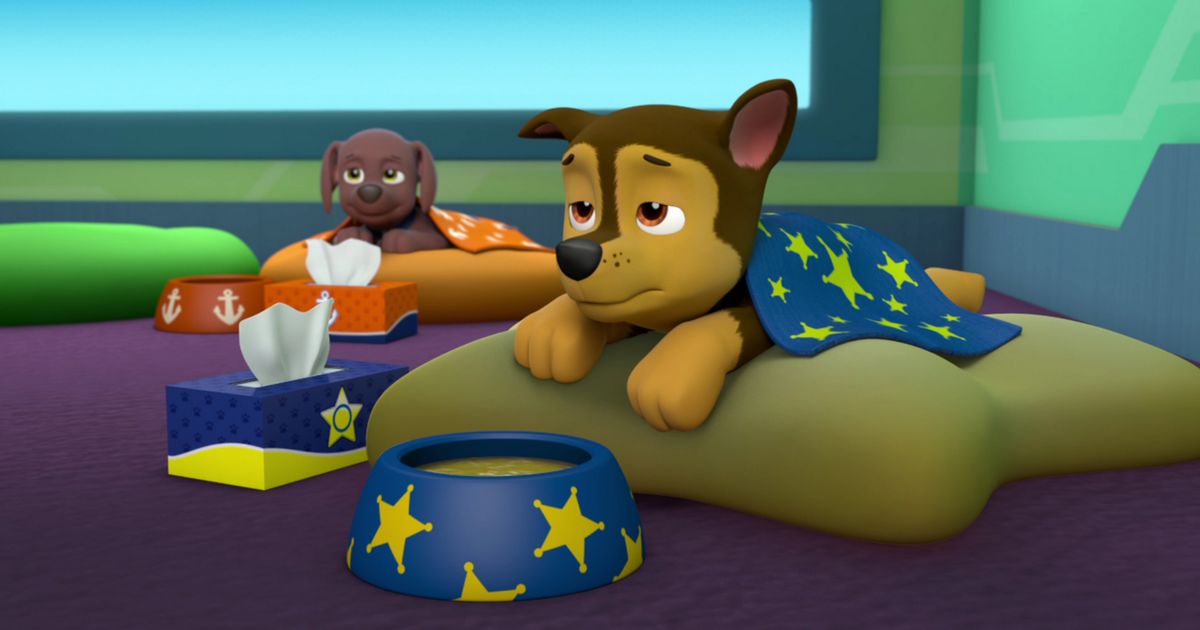 Paw Patrol, la Pat'Patrouille - Saison 3 | myCANAL
