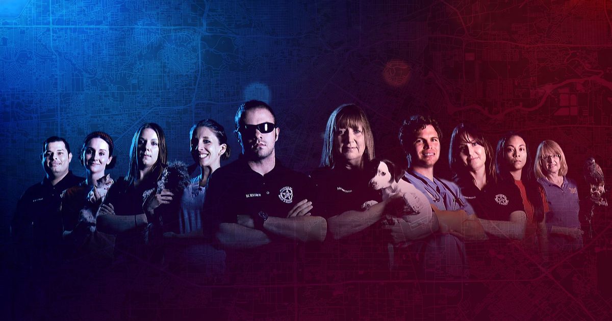 Animal Cops en streaming direct et replay sur CANAL+ | myCANAL
