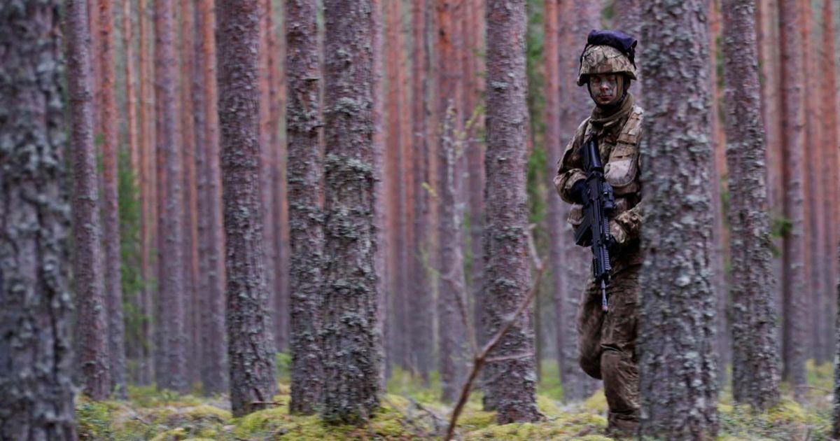 Résumé et casting Les questions qui fâchent : Le service militaire ...