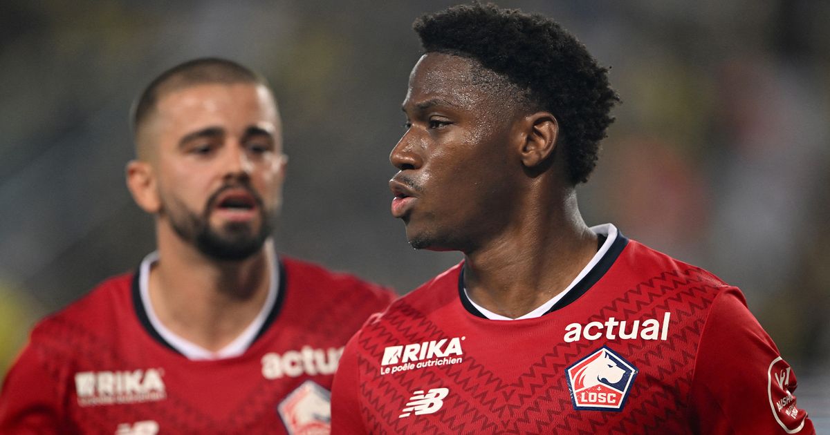 Ligue des champions : Grâce à David et Zhegrova, le LOSC s’impose face ...