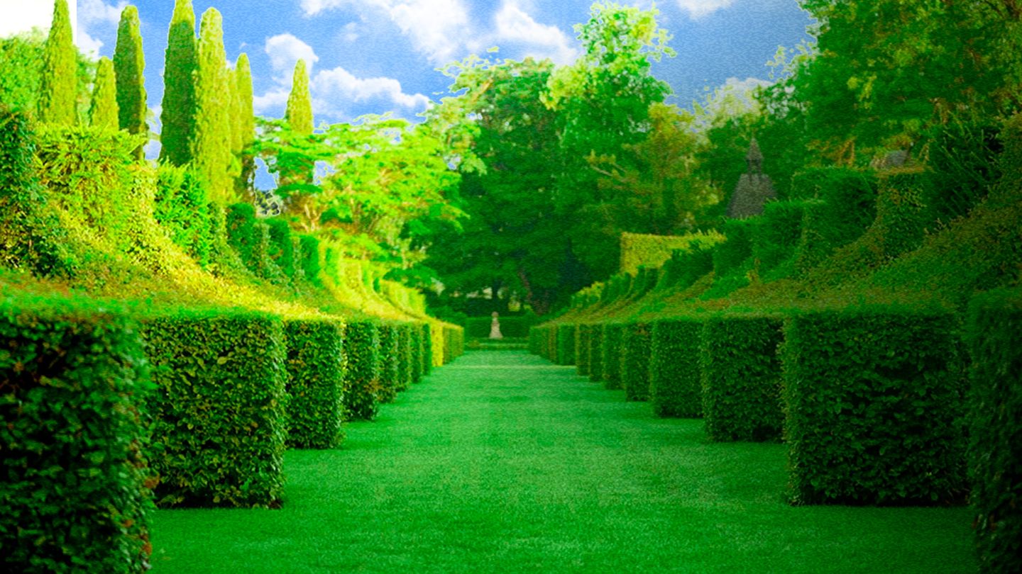 Les trésors des plus beaux jardins français en streaming direct et ...
