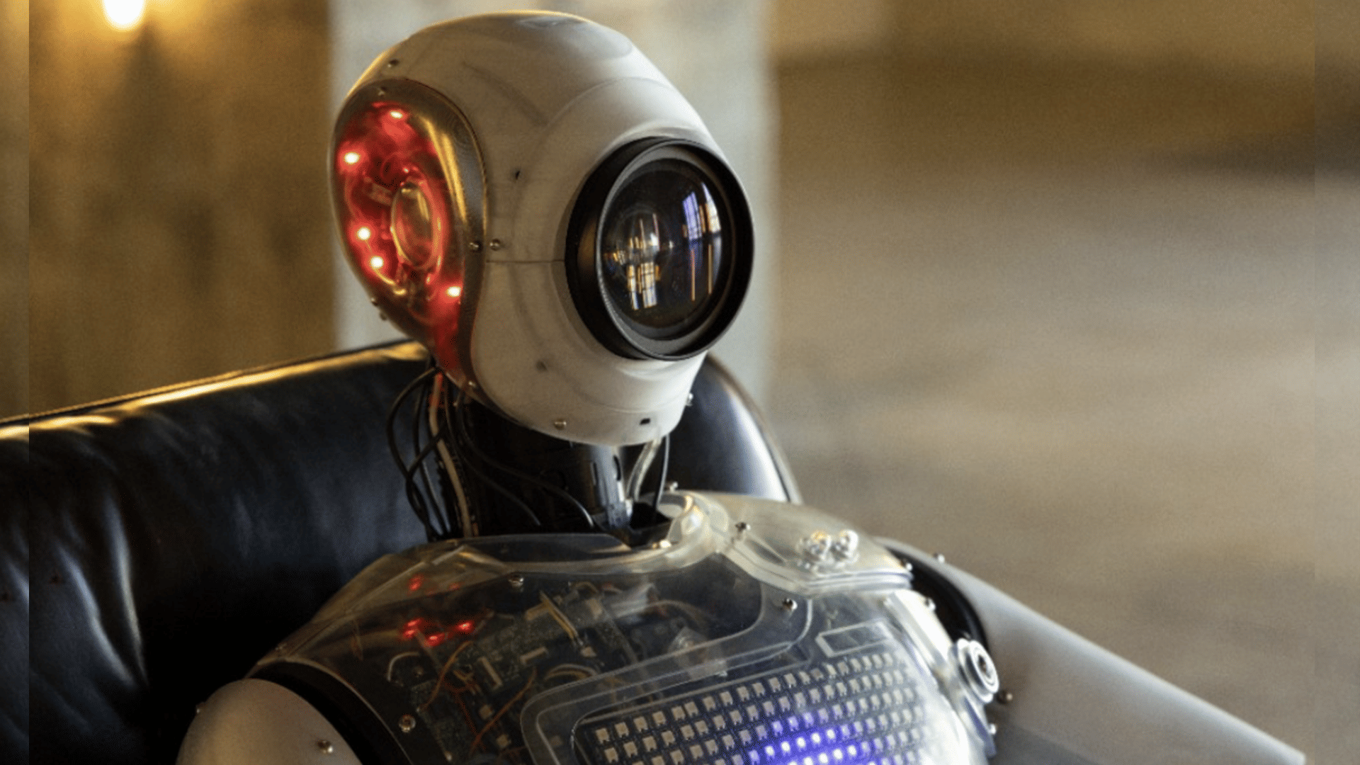 CANAL+ provides entertainment to A.I. - Jobs