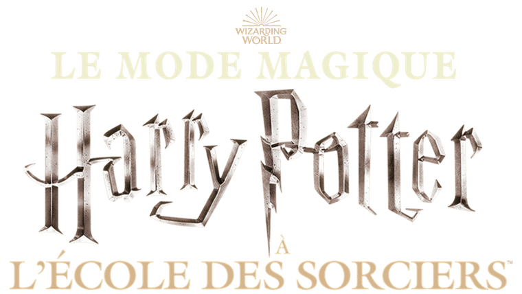 Résumé Et Casting Harry Potter à Lécole Des Sorciers Version Longue
